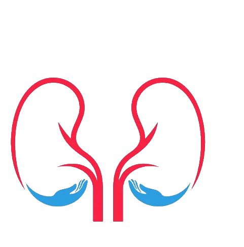 DFG-eGFR full equations pediatric - Néphrologie