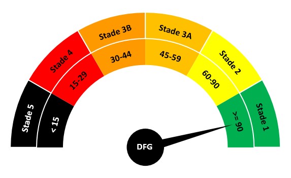 DFG-Interactif - Néphrologie
