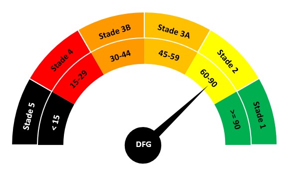 DFG-Interactif - Néphrologie