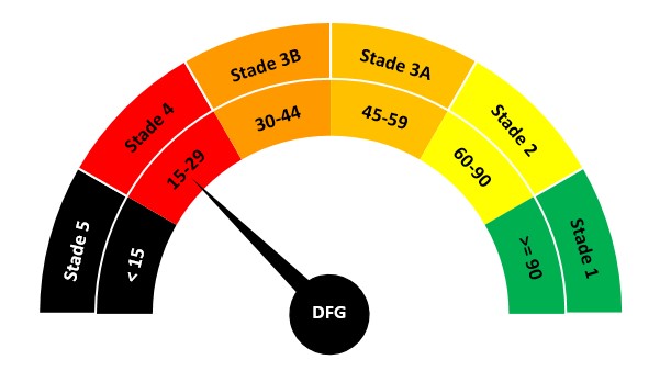 DFG-Interactif - Néphrologie