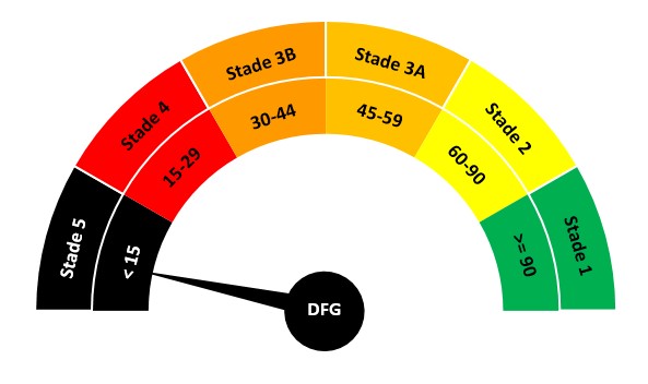 DFG-Interactif - Néphrologie